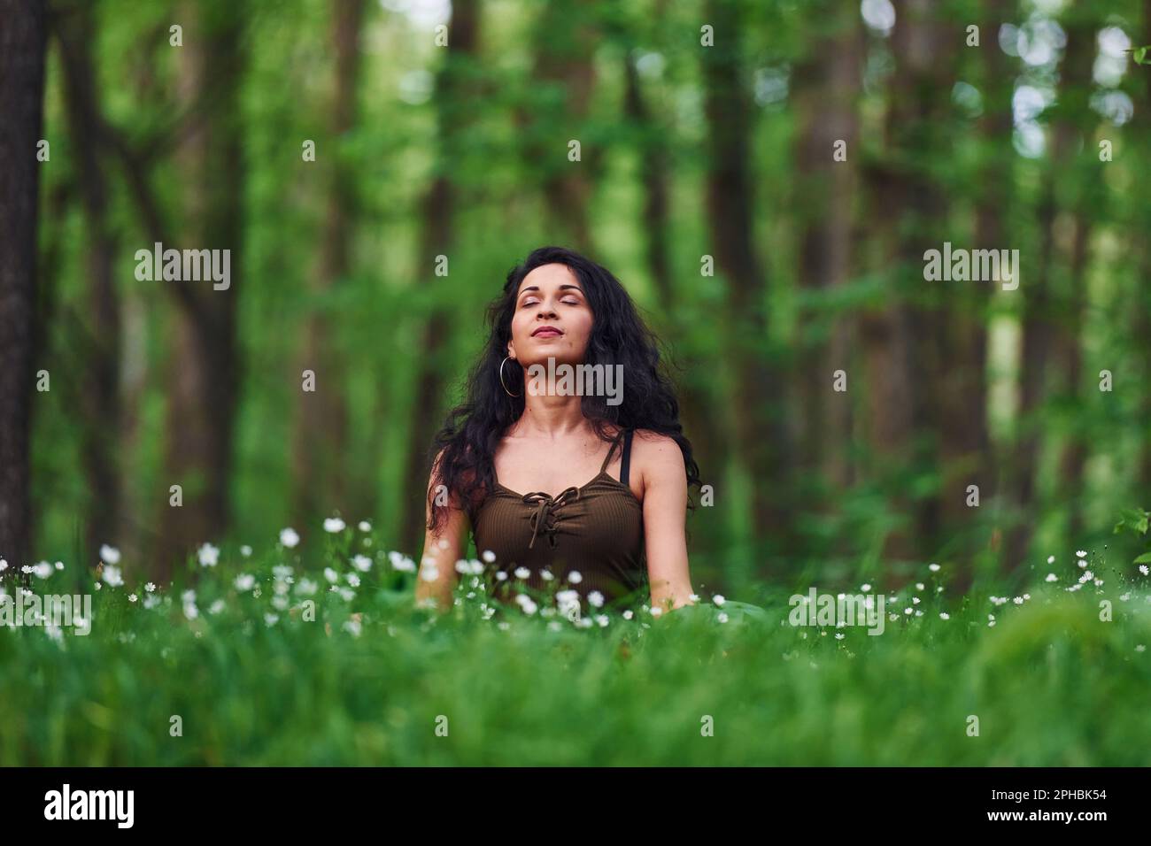 Forest ecosystem wellbeing hi-res stock photography and images - Alamy