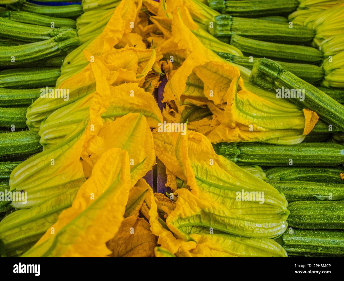 Courgettes with flowers hi-res stock photography and images - Alamy