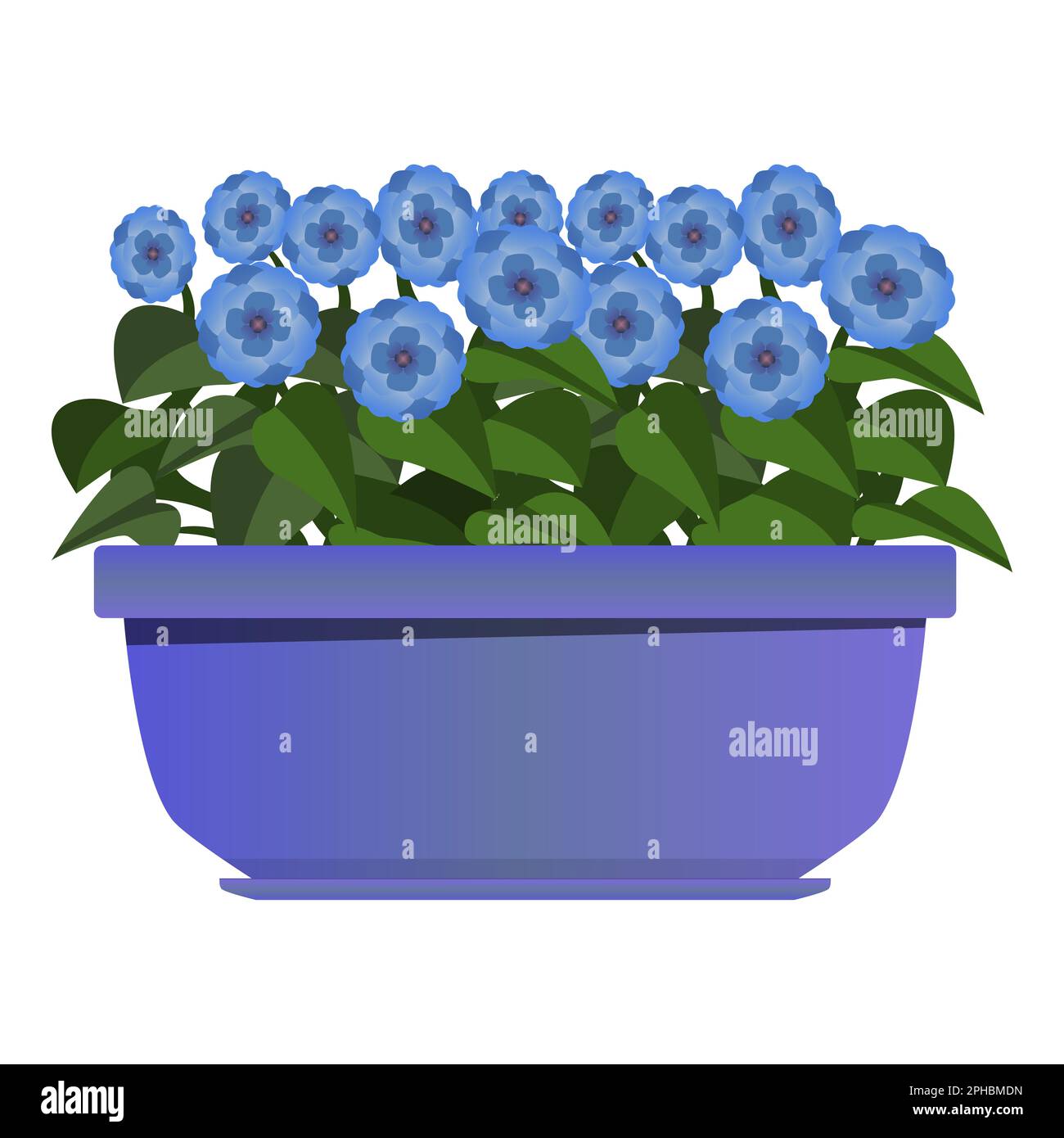 Long purple pot of blue flowers in realistic style. Flower bed for the ...