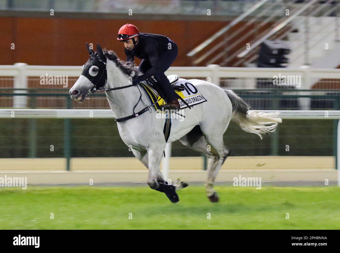 GLORIOUS DRAGON ridden by Neil Callan gallop on the dirt at Meydan ...