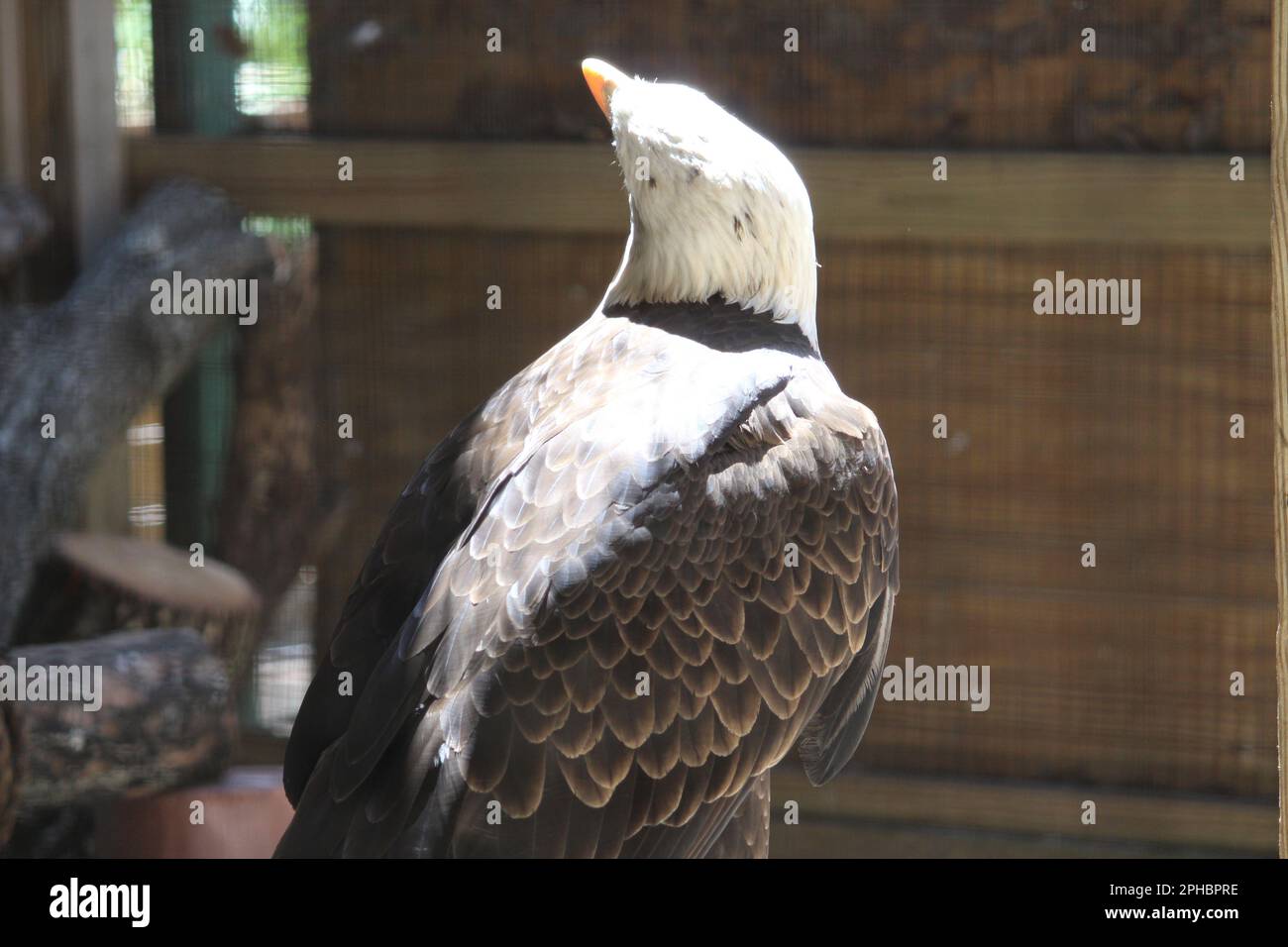 Raptor enclosure hi-res stock photography and images - Alamy