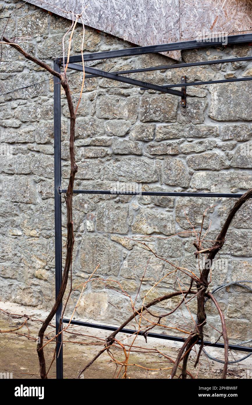 The trellises made of profile pipe for the grape arbor are attached to ...