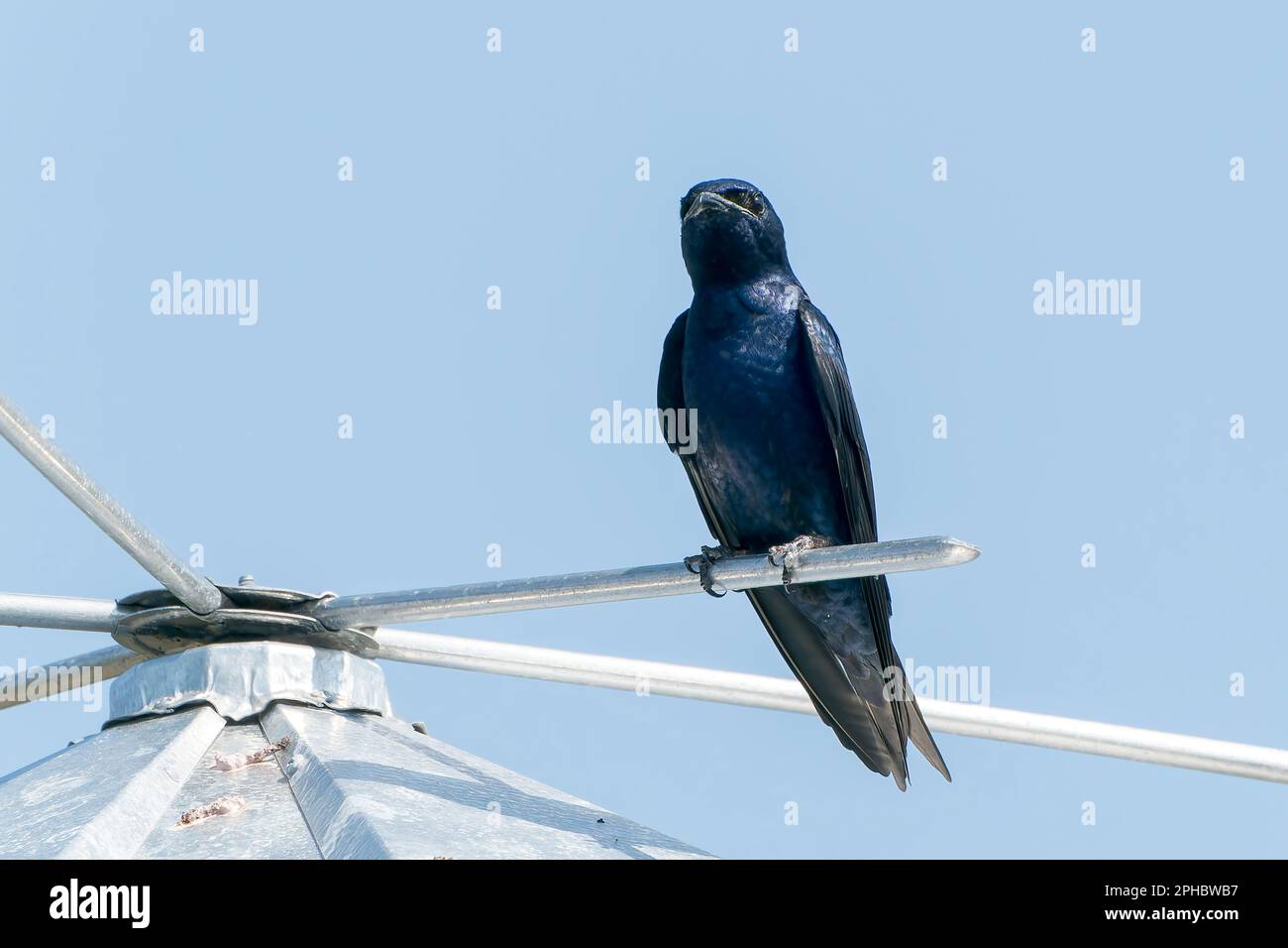 Subis nesting boxes hi-res stock photography and images - Alamy