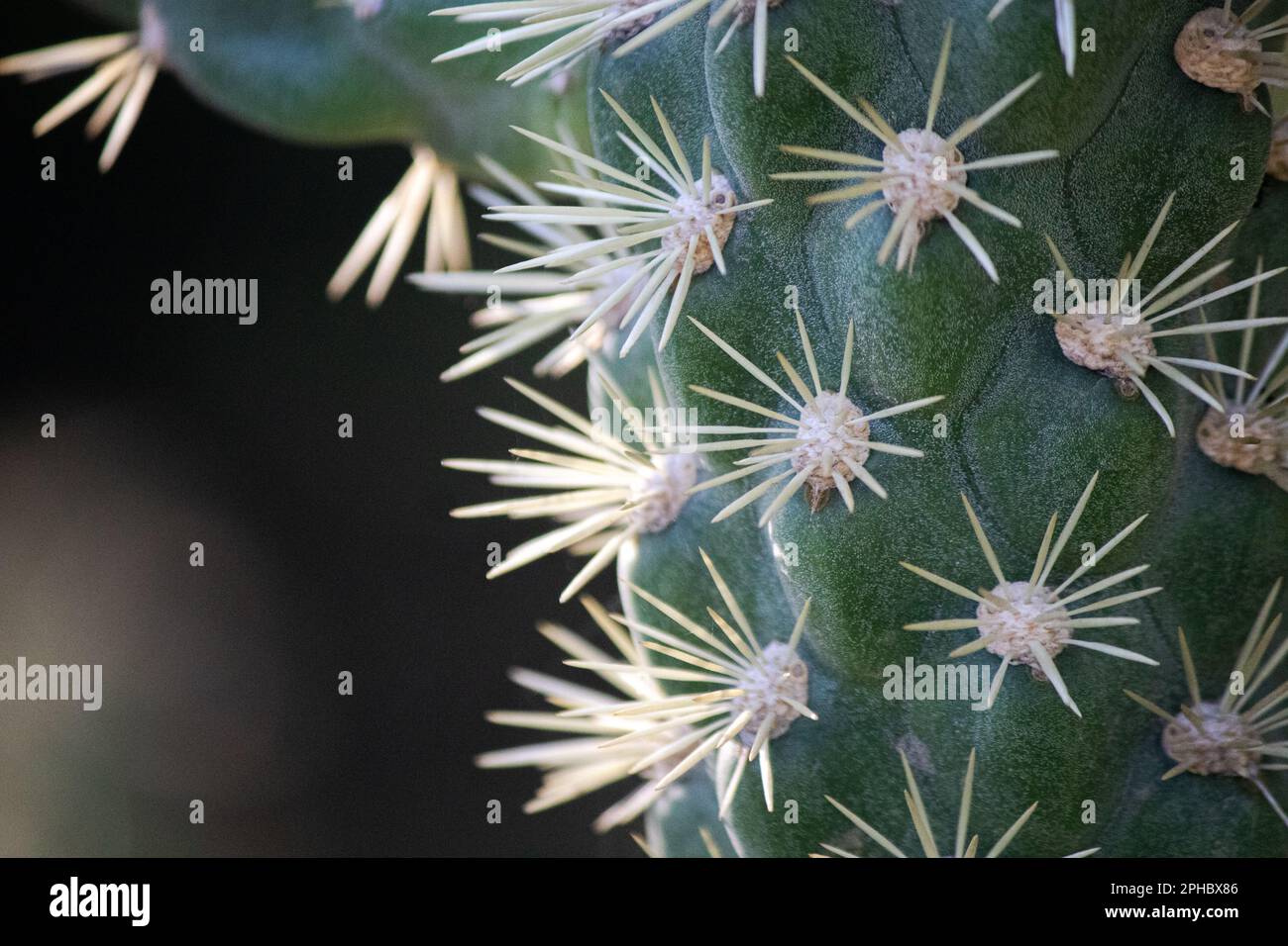 Climate spikes hi-res stock photography and images - Alamy