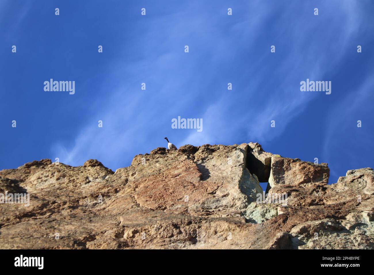 Climbing over ledge hi-res stock photography and images - Alamy