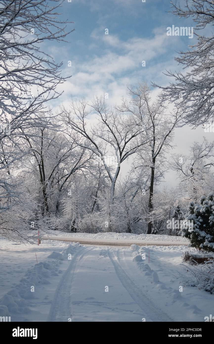 A winter scene featuring a snow-covered driveway winding through a ...