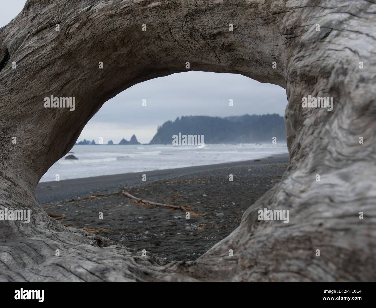 A stunning seaside landscape viewed through a rustic driftwood window ...