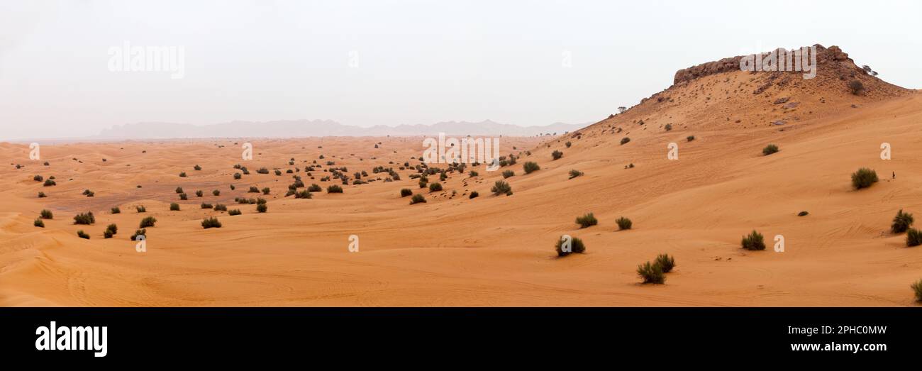 Panoramic view of the Liwa desert near Dubai in UAE Stock Photo - Alamy