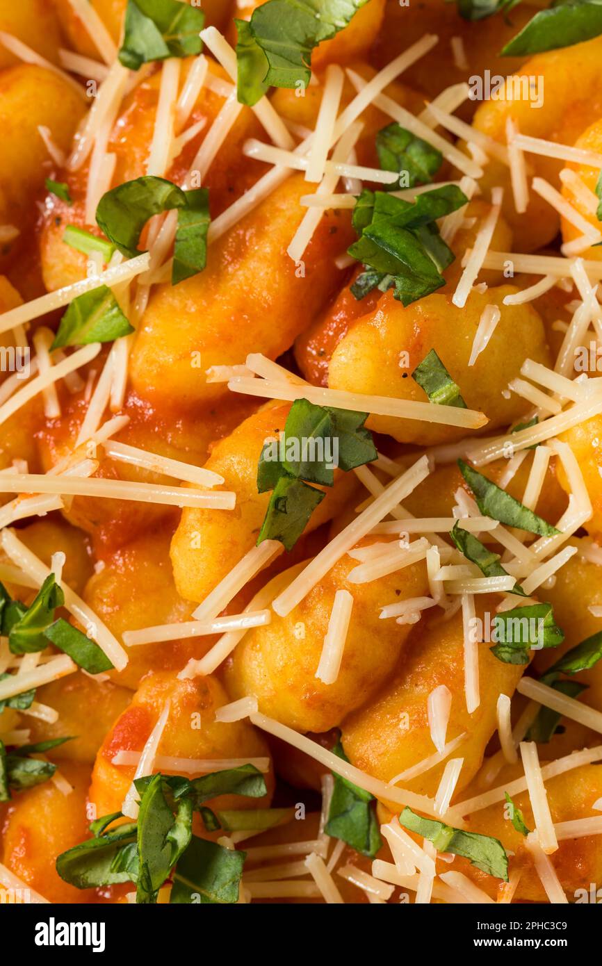 Homemade Italian Tomato Gnocchi Pasta with Cheese and Basil Stock Photo ...