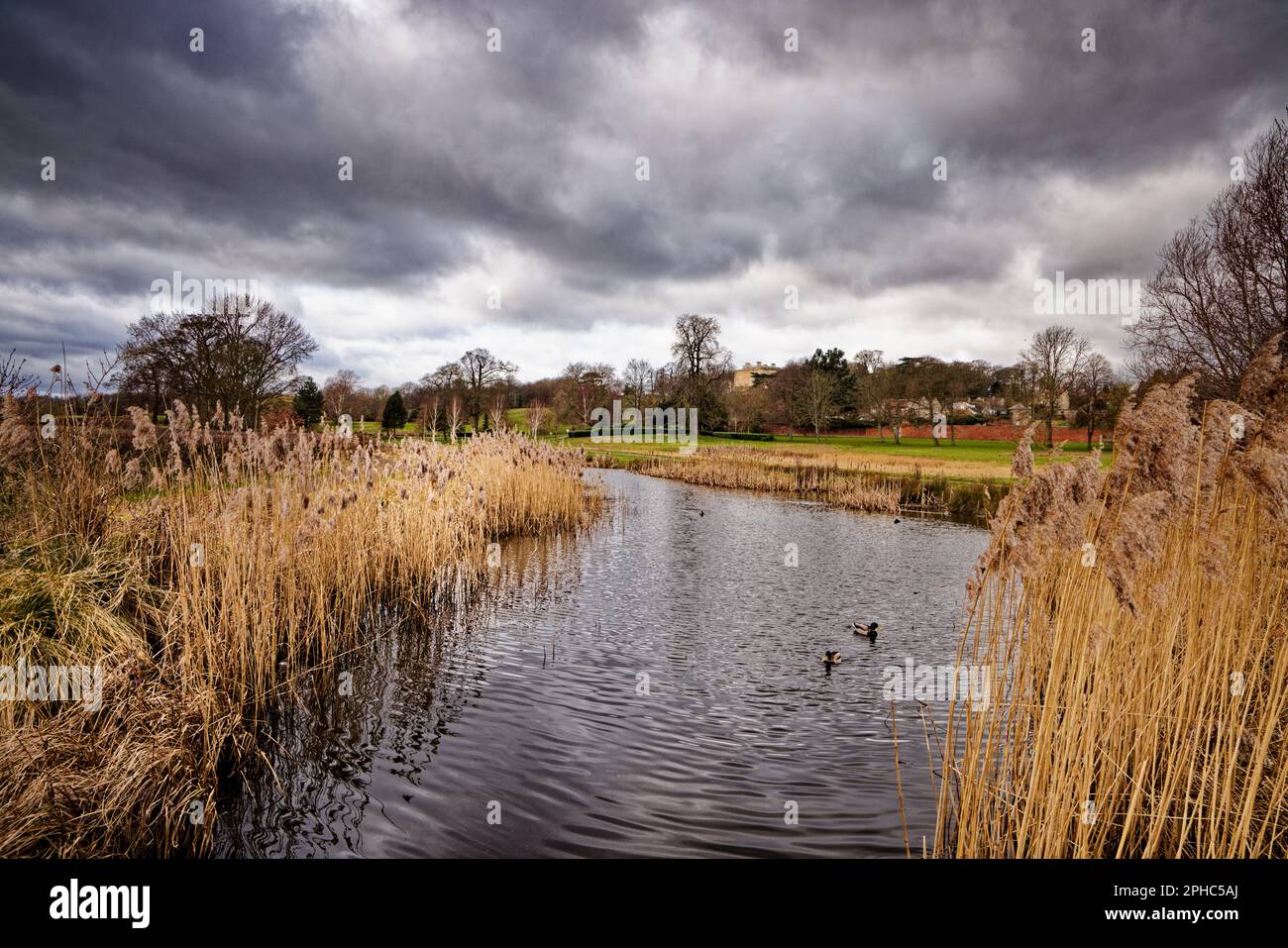 Winter scene in Cusworth Hall Country Park, Doncaster, Yorkshire Stock ...