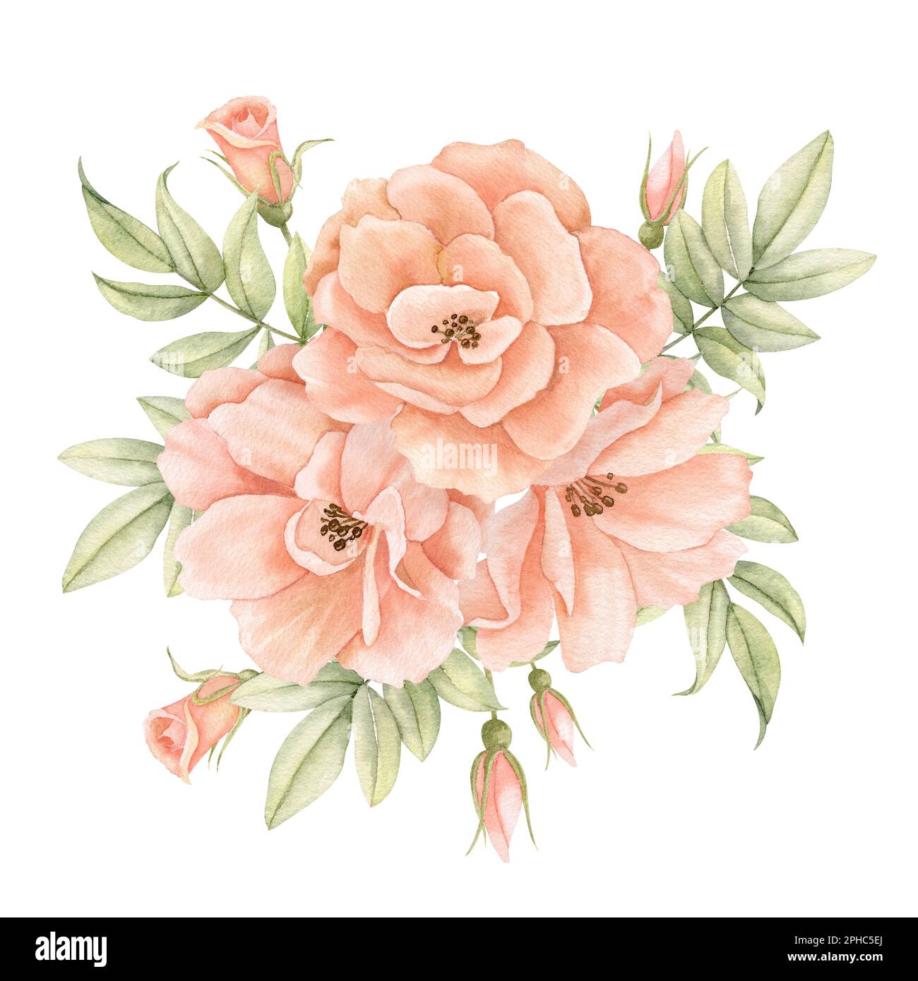 how to draw rose bunch