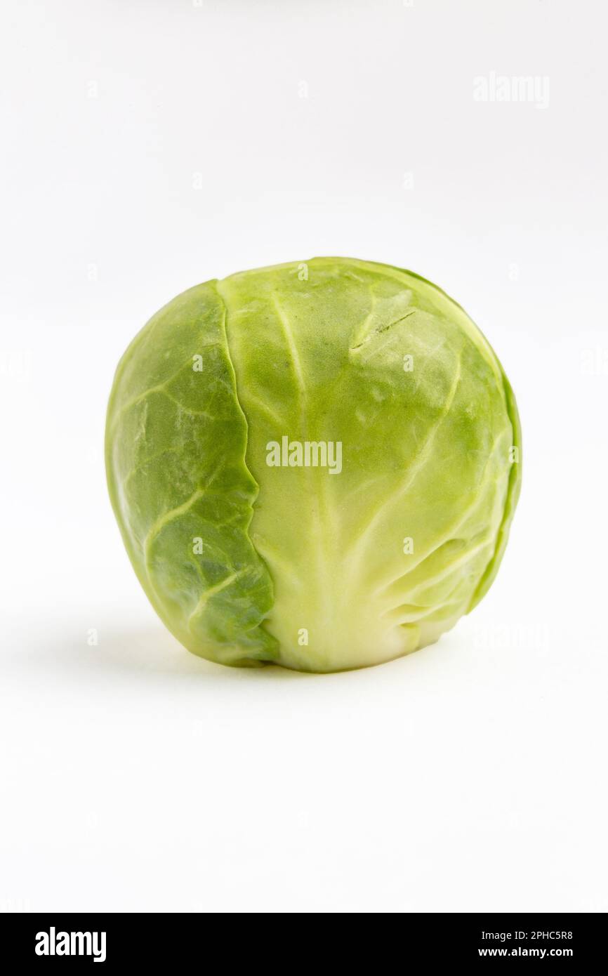 A single Brussels sprout Stock Photo - Alamy