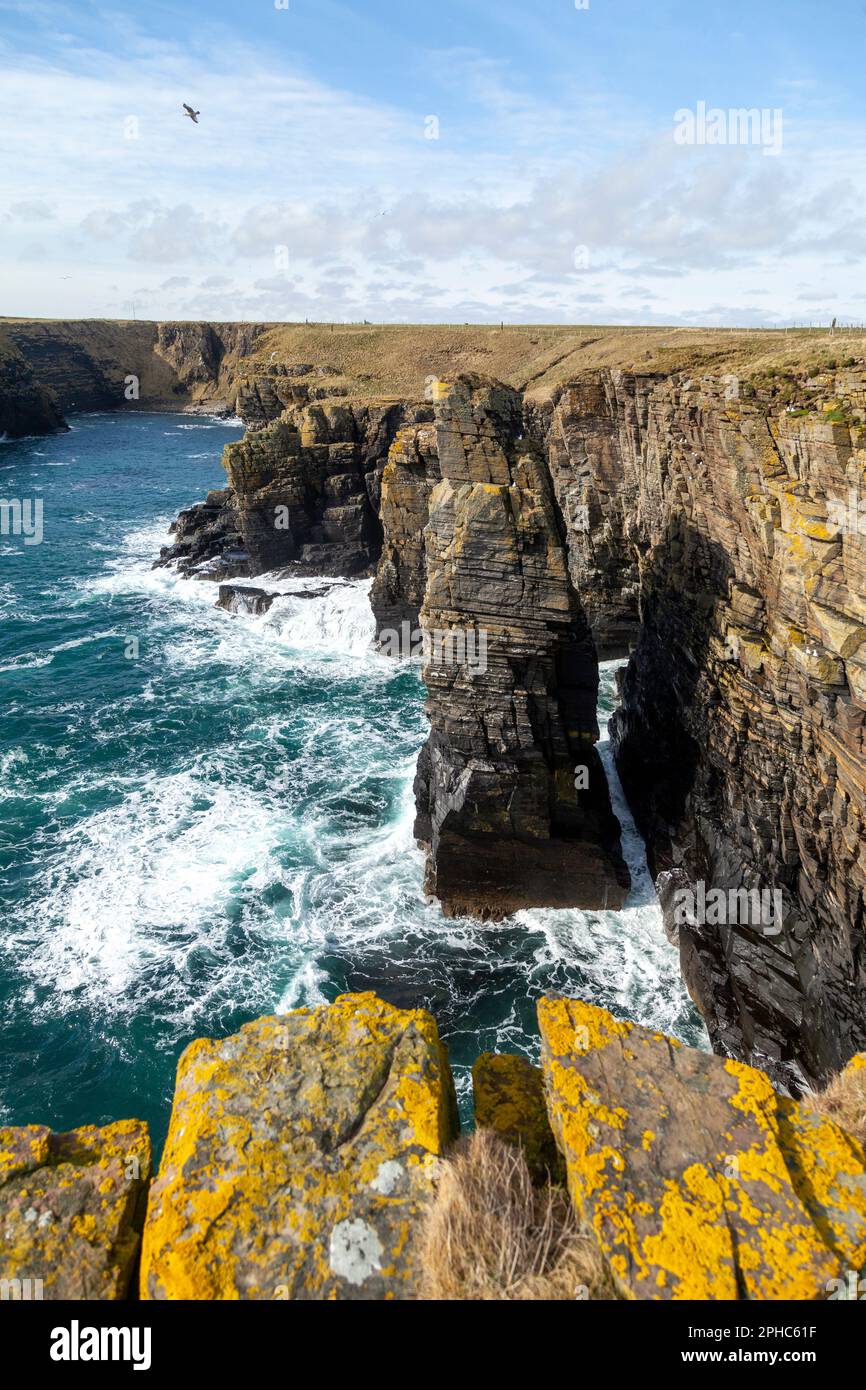 The Old Man of Wick sea stack near Wick Scotland Stock Photo - Alamy
