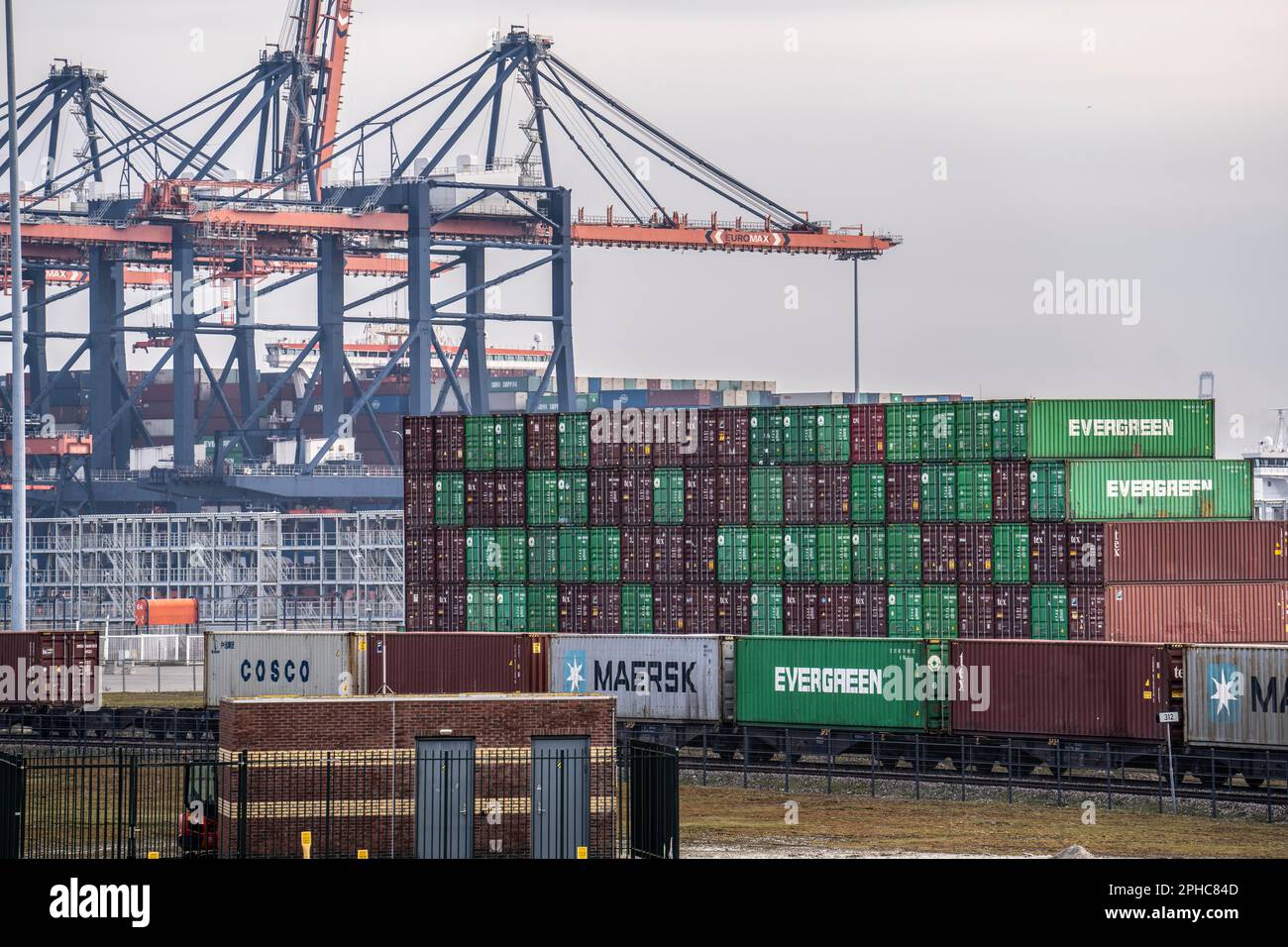 Goods train, container train, brings containers to Euromax Container ...