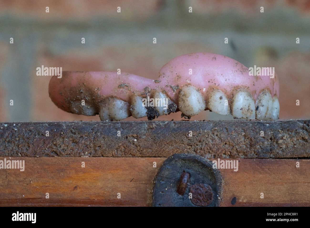 old discarded false teeth dug up from being buried for years in rural ...