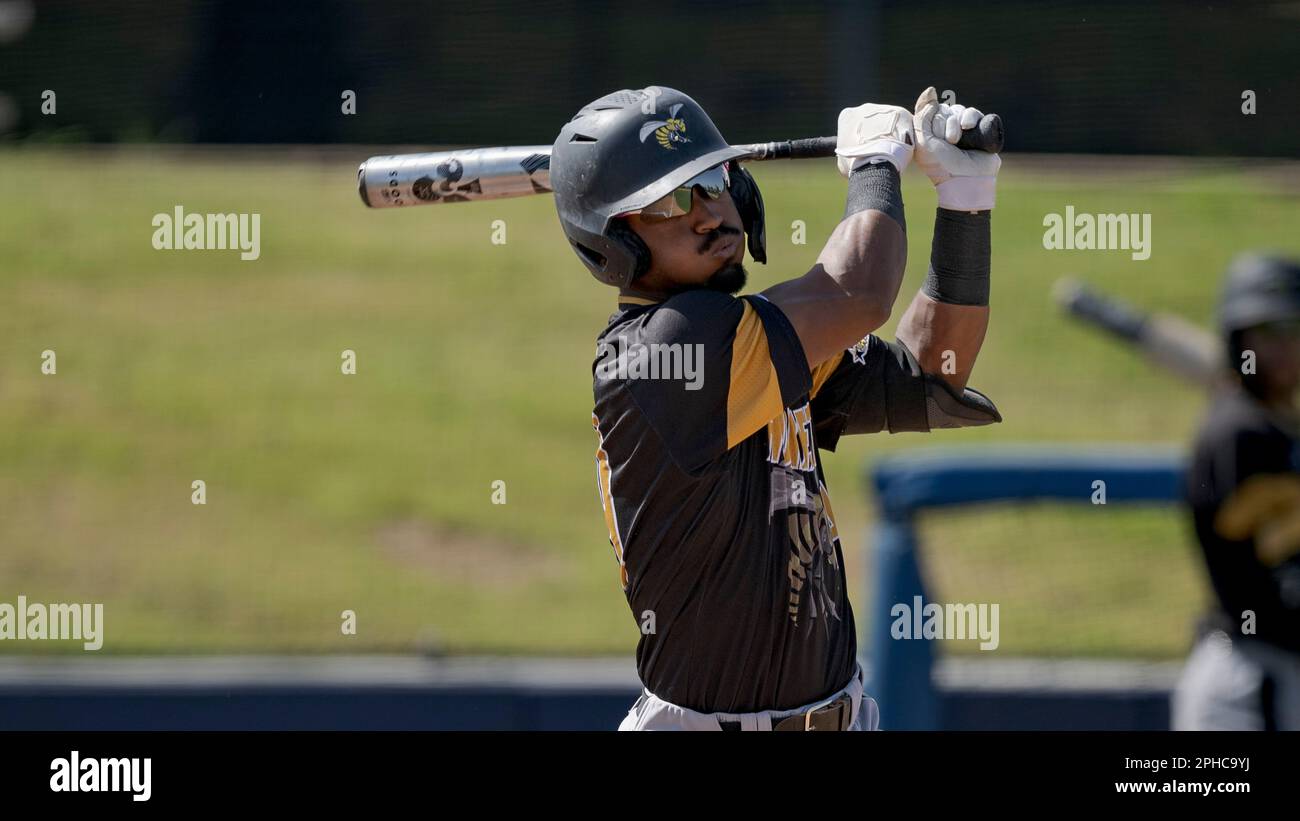 Alabama State catcher Jamal George (14) bats during an NCAA baseball ...