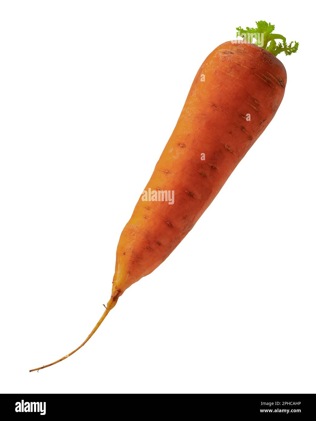 Bunch ripe fresh carrot Cut Out Stock Images & Pictures - Alamy