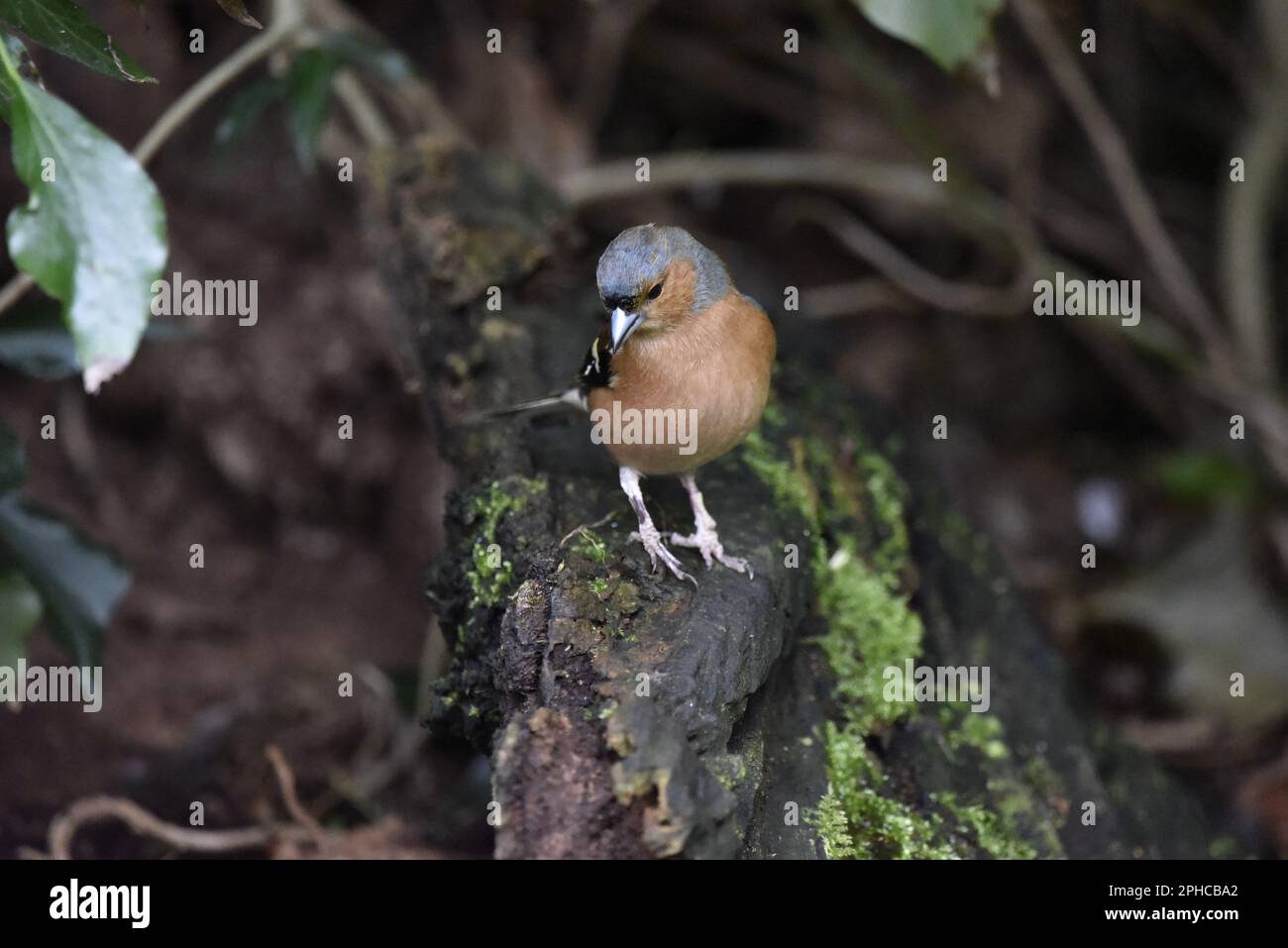 Pointing feet hi-res stock photography and images - Alamy