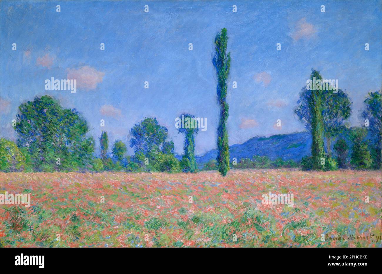 Poppy Field (Giverny). Claude Monet. 1890-1891 Stock Photo - Alamy