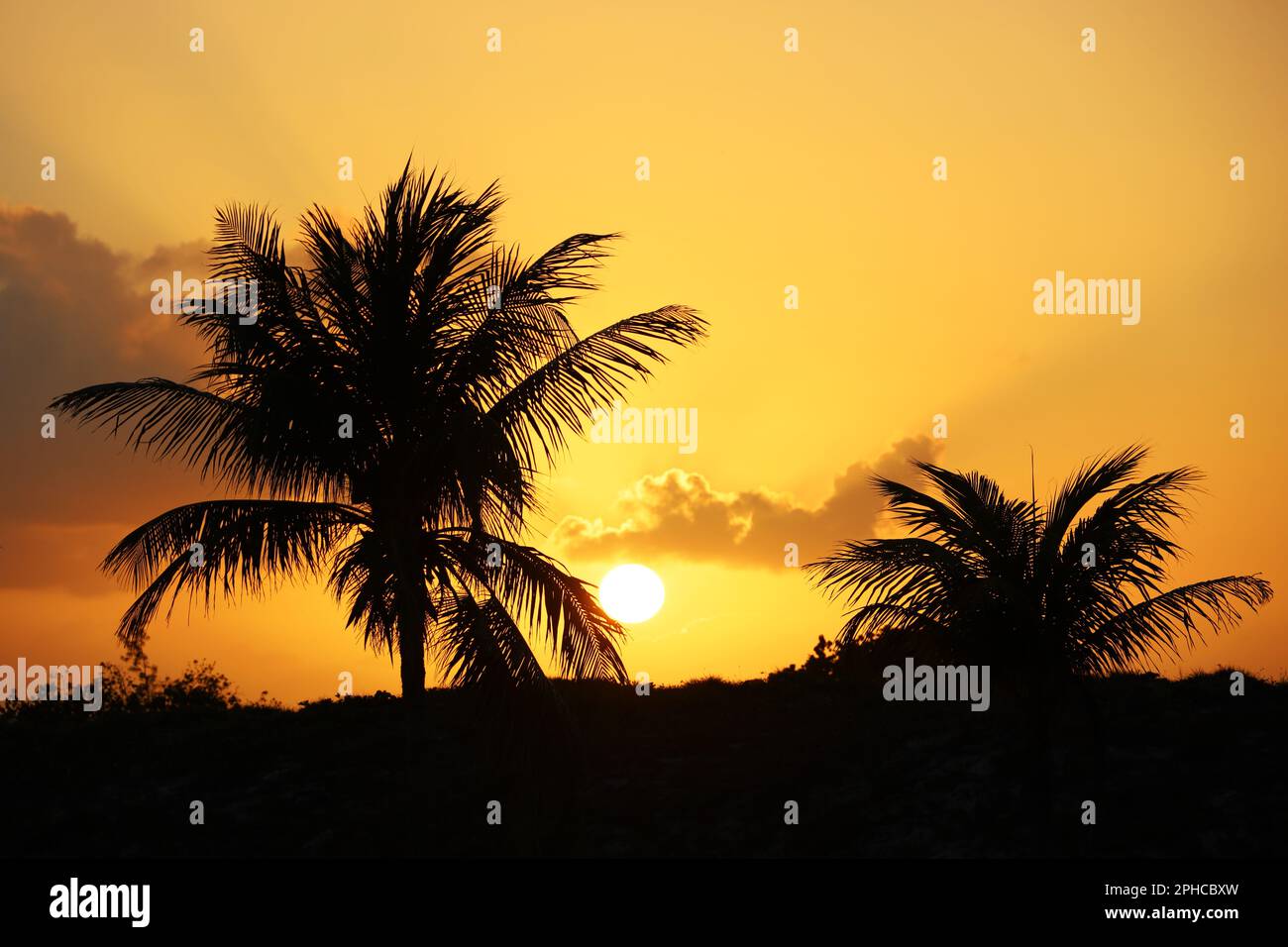 Picturesque tropical sunset palm trees hi-res stock photography and ...