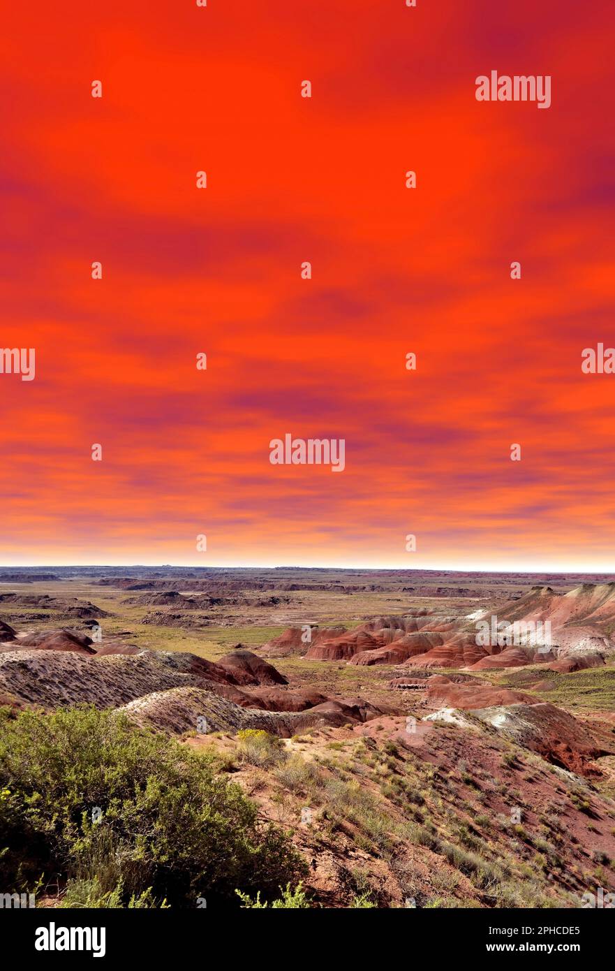 Scenic landscape of the ancient petrified forest in Arizona Stock Photo ...