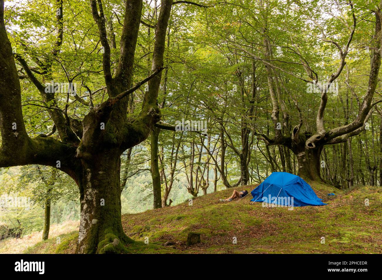 Camping: Woman Enjoys Eco-Friendly Outdoor Recreation and Self-Care ...