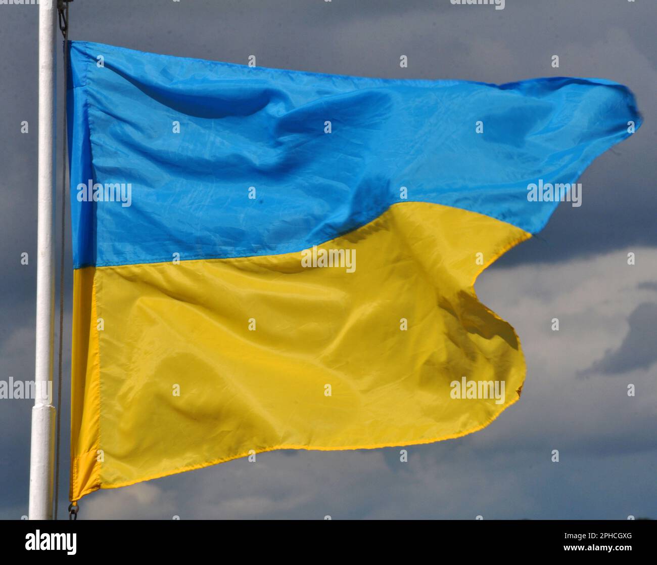 Blue and yellow colors of the national flag of Ukraine Stock Photo - Alamy