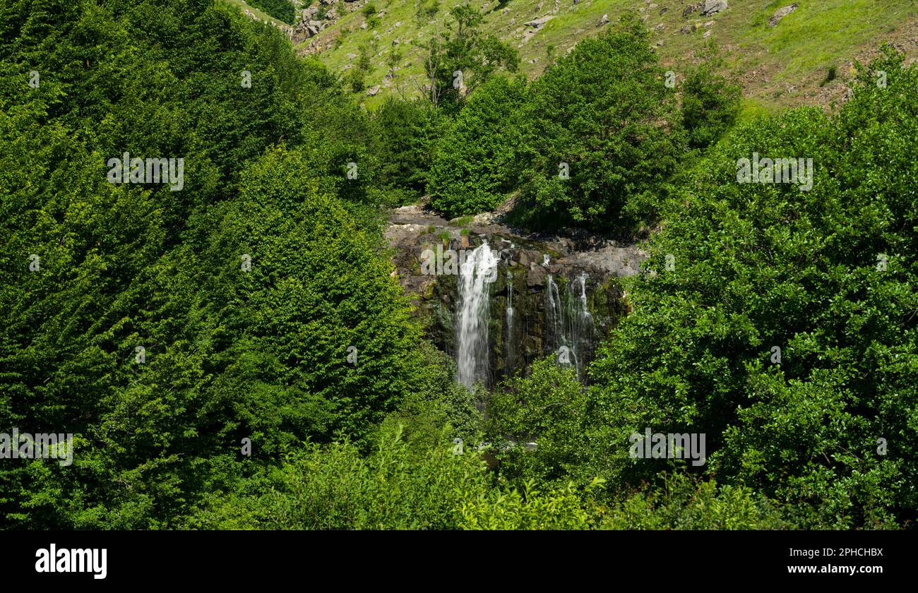 Small waterfall flowing through the trees. Natural background Stock ...