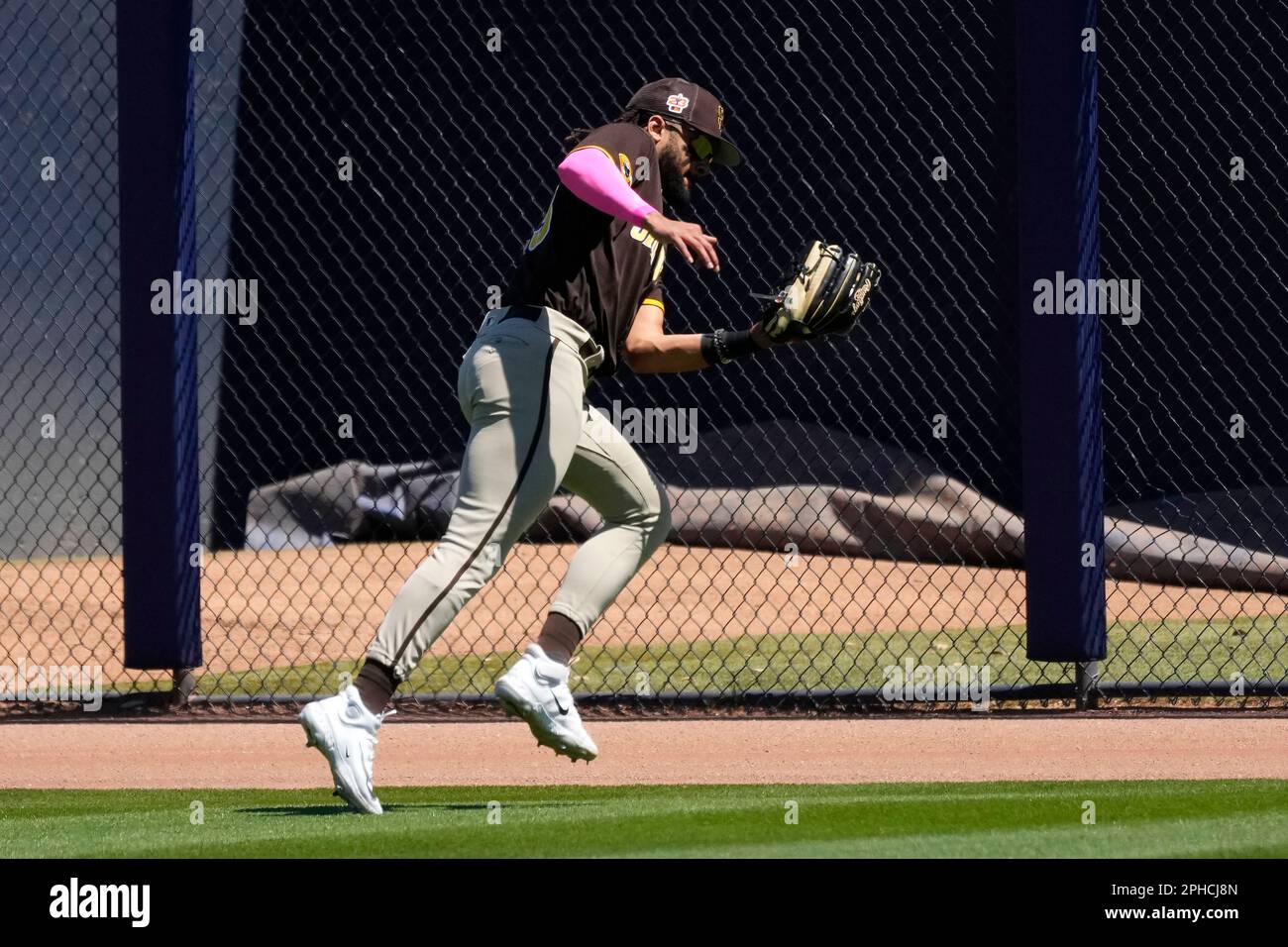 San Diego Padres right fielder Fernando Tatis Jr. makes a catch on a ...