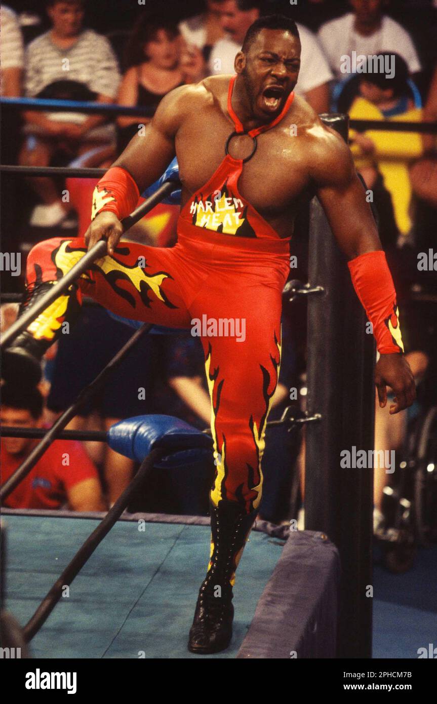 1995 Booker T Photo by John Barrett/PHOTOlink Stock Photo - Alamy