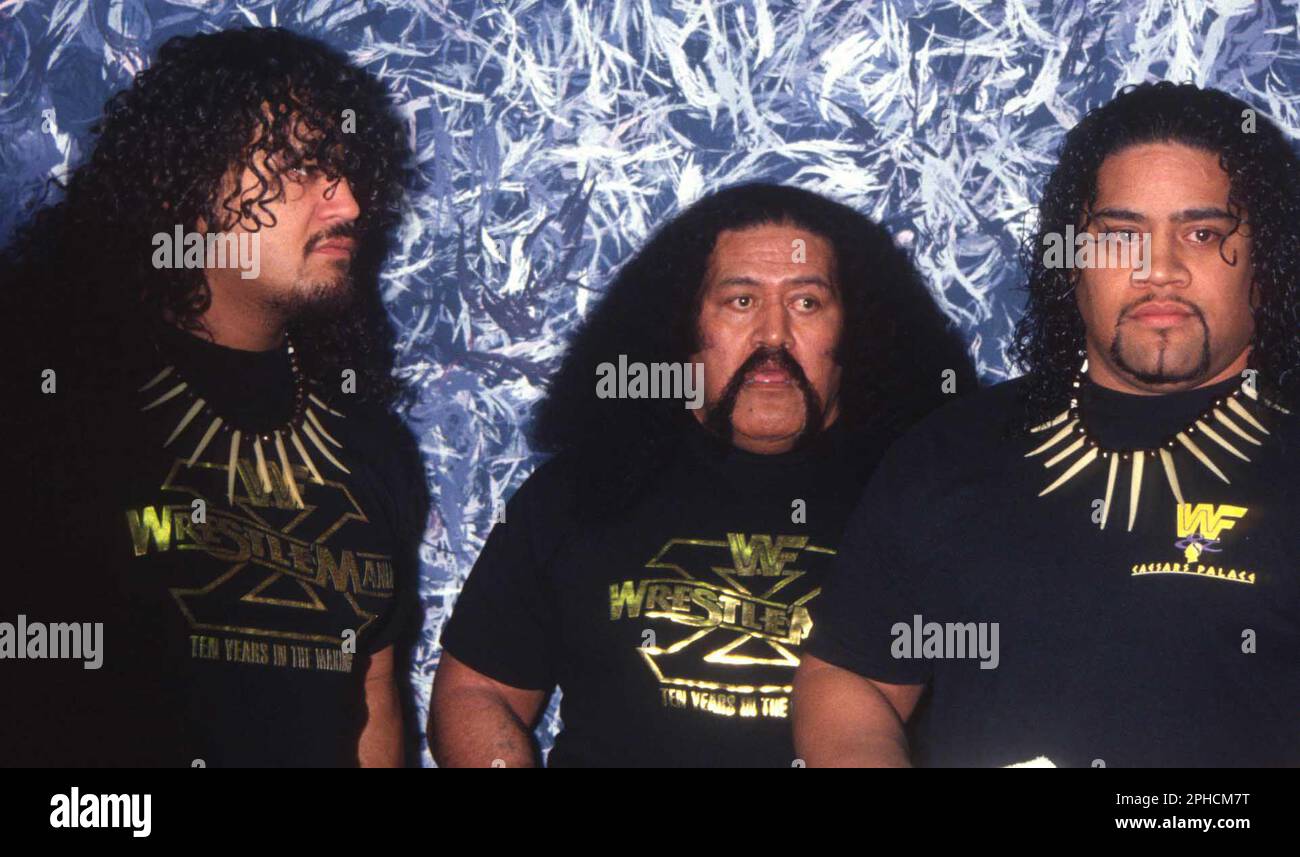 1993 Headhunters Photo by John Barrett/PHOTOlink Stock Photo - Alamy