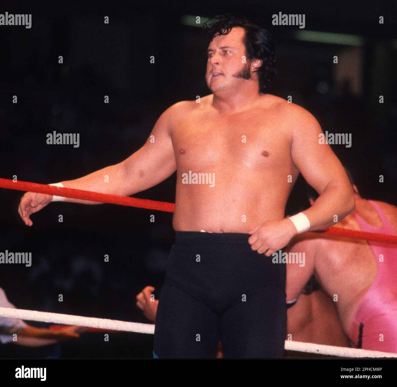 1987 Honky Tonk Man Photo by John Barrett/PHOTOlink Stock Photo - Alamy