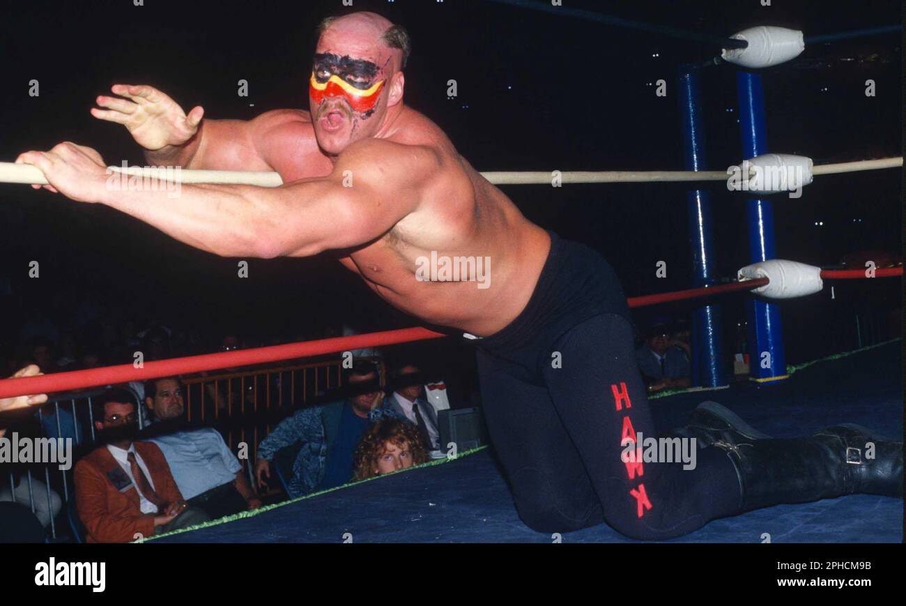 1987 Hawk Photo by John Barrett/PHOTOlink Stock Photo - Alamy