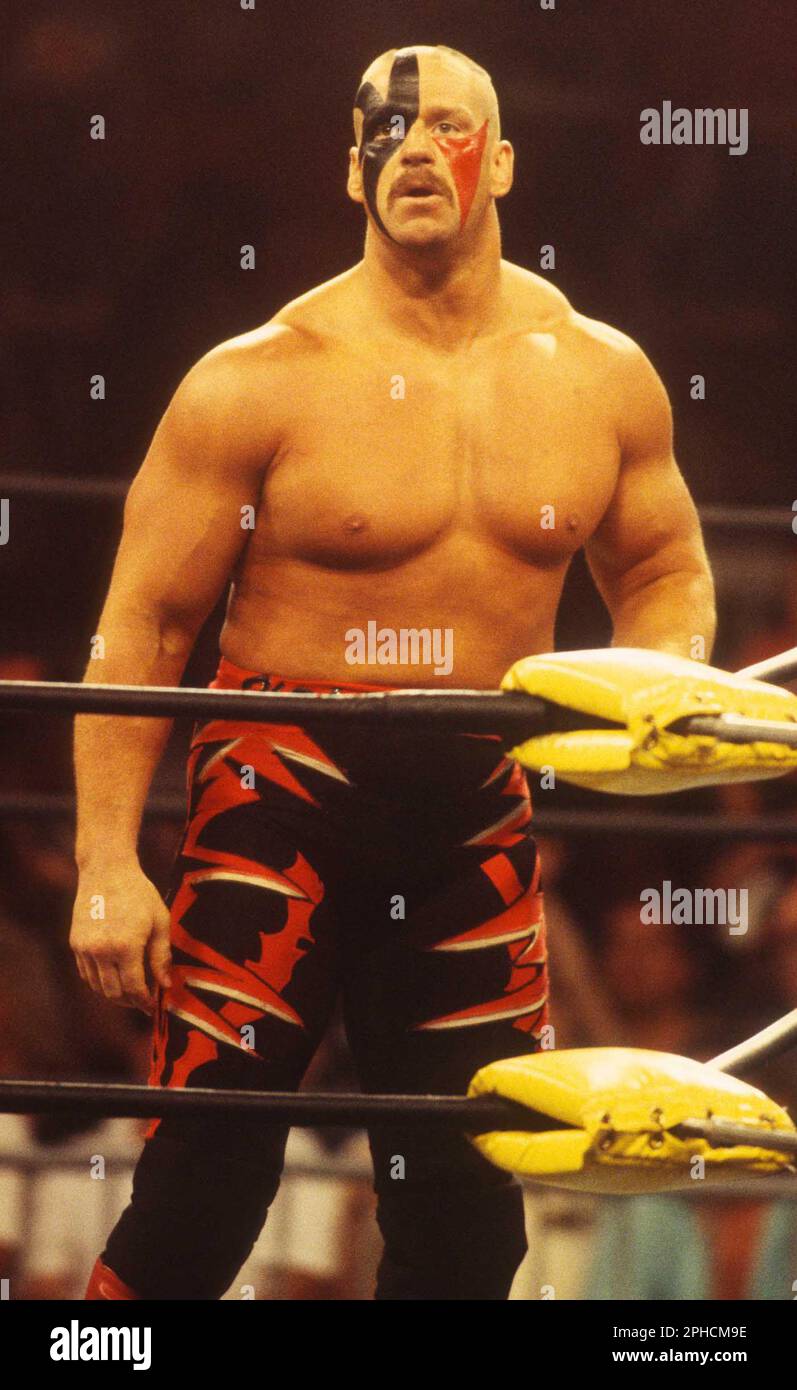 1987 Hawk Photo by John Barrett/PHOTOlink Stock Photo - Alamy