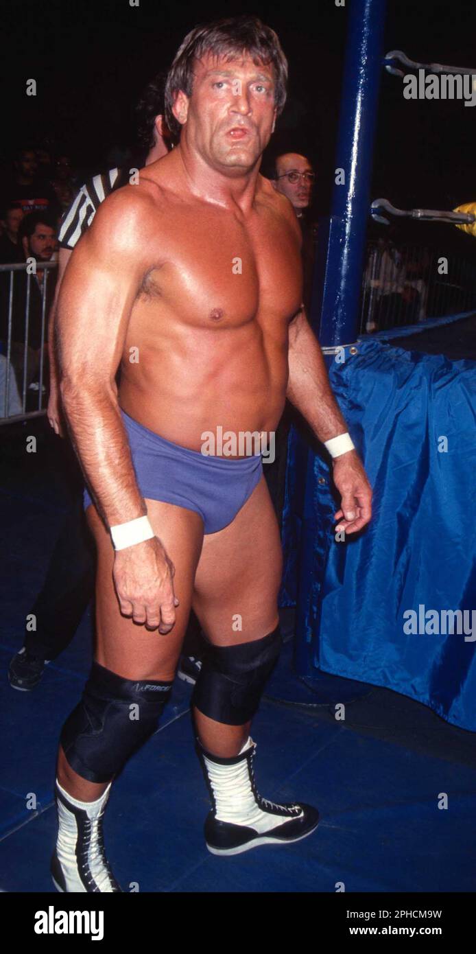Paul orndorff hi-res stock photography and images - Alamy