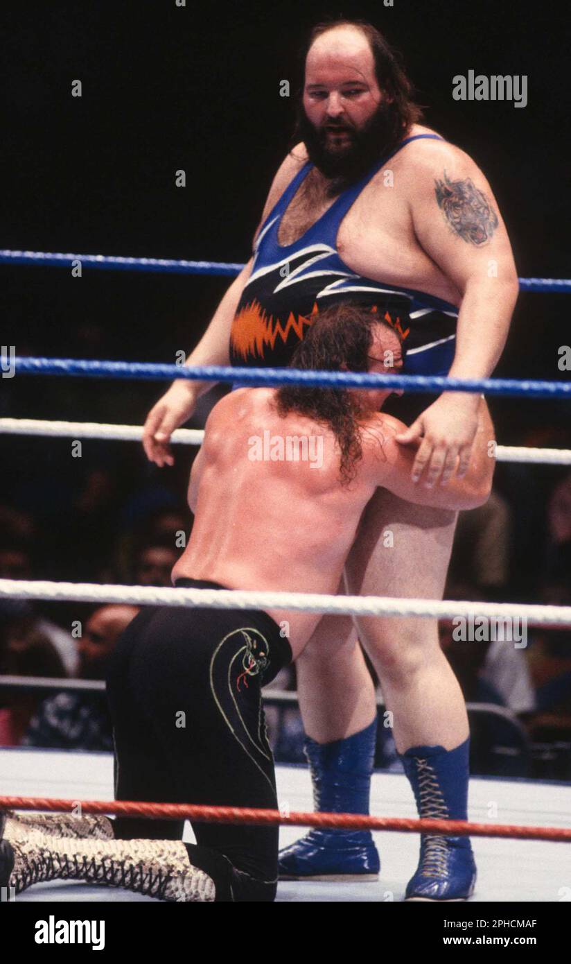 1991 Earthquake Jake the Snake Photo by John Barrett/PHOTOlink Stock ...