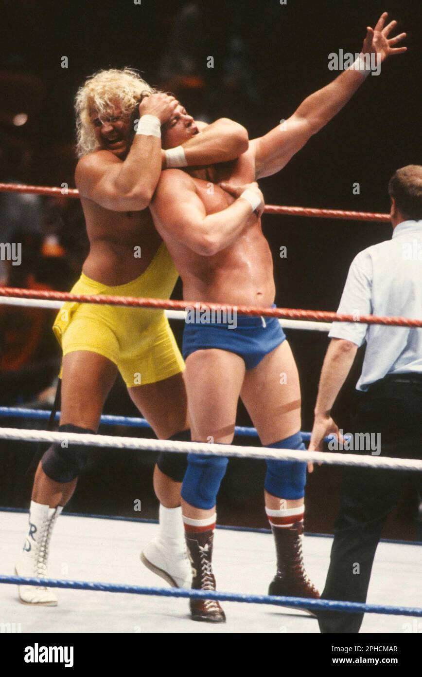 1990 Roddy Piper Mr Perfect Photo by John Barrett/PHOTOlink Stock Photo ...