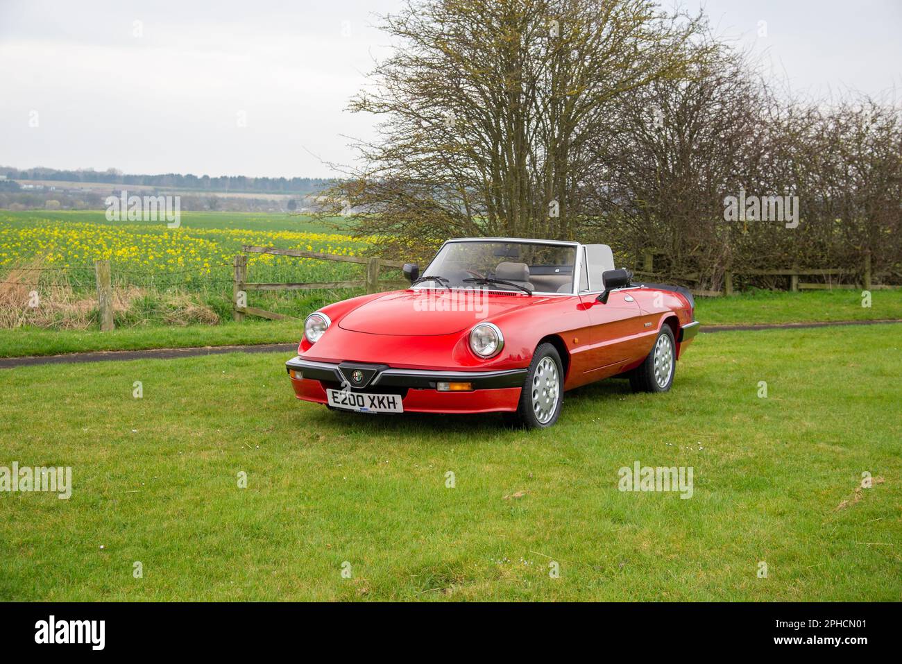 Red Alfa Romeo Spider Series 3 (115 Series) parked in a meadow with the ...