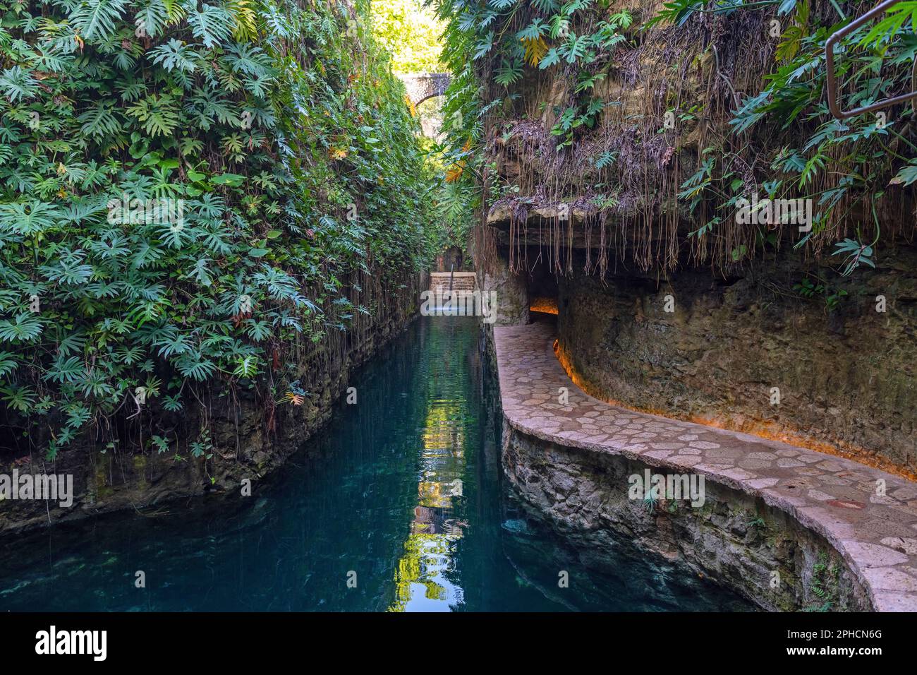 Cenote of Mucuyche near Merida, Yucatan, Mexico Stock Photo - Alamy