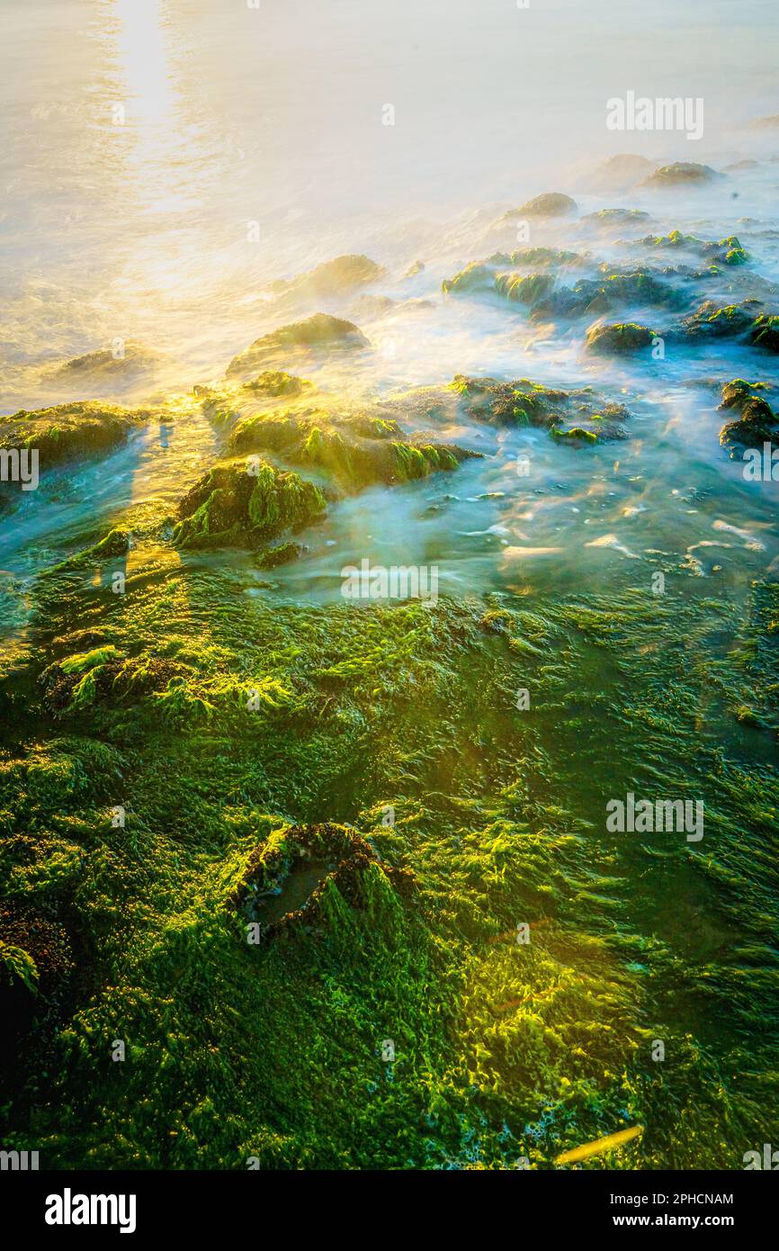 Rocks on the zeeland coast of the netherlands hi-res stock photography ...