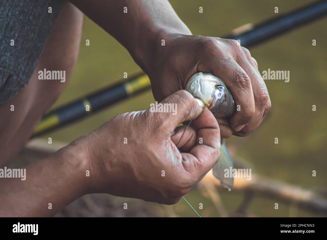 Man taking the hook out of the mouth of a fish that has just fished ...