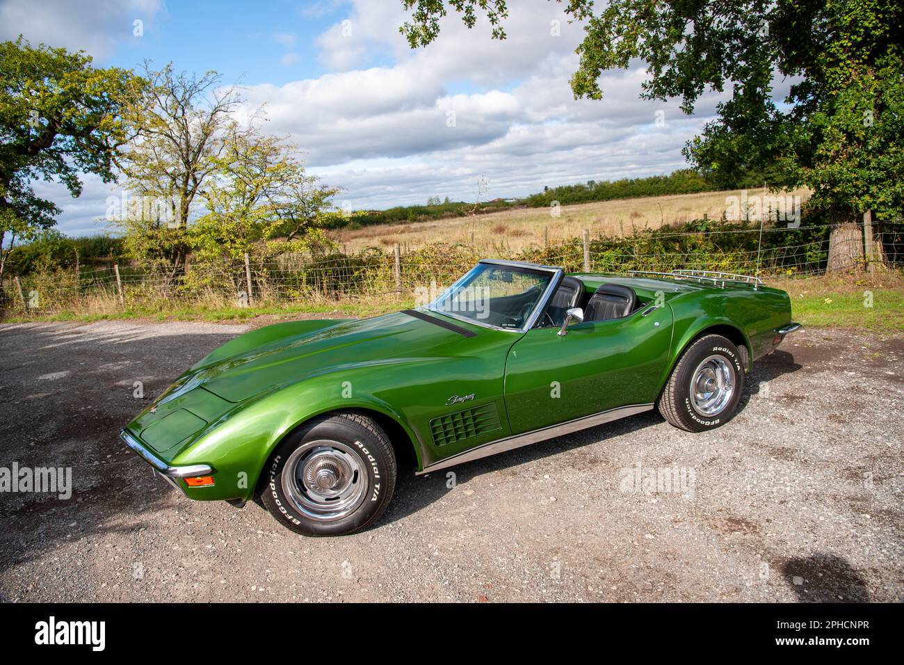 Corvette Summer Car Gold