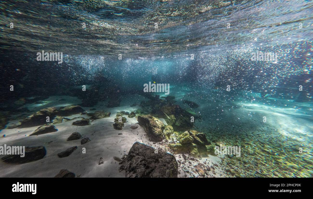 Fish diving into water waterfall hi-res stock photography and images ...