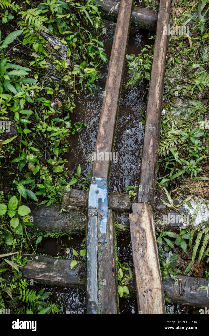 Inside an illegal gold mine hi-res stock photography and images - Alamy