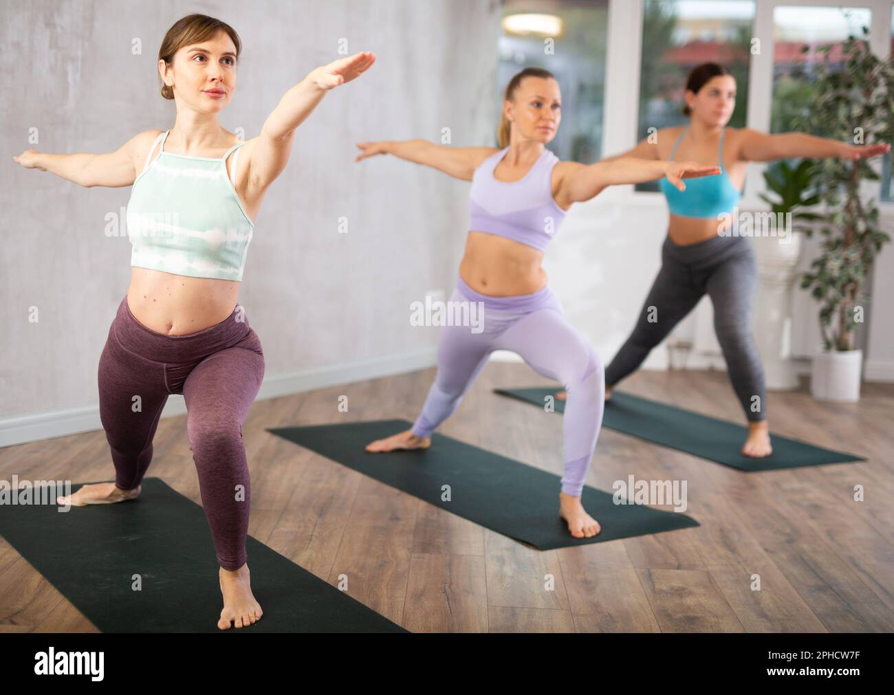 Sporty young woman dong stretching asanas in yoga studio Stock Photo ...