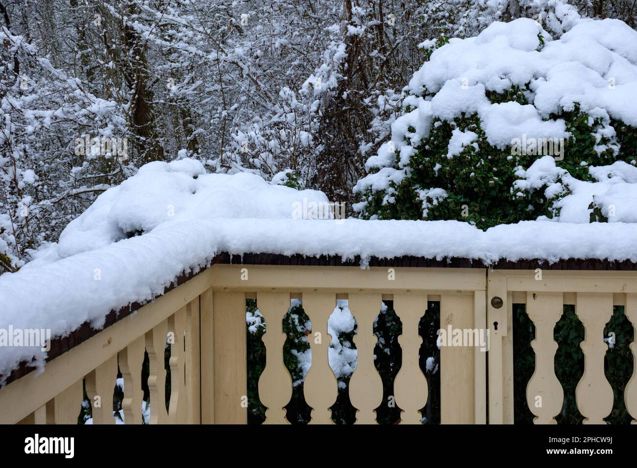 Snow-Covered Wooden Balcony and Winter Trees in a Serene Forest Setting ...