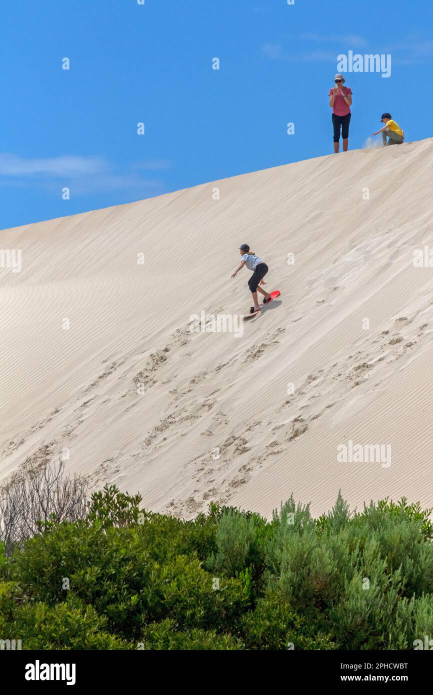 Sandboarding at Little Sahara, Kangaroo Island Stock Photo - Alamy