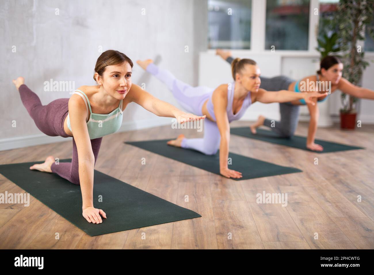 Class of sporty women performing Balancing Table restorative Pose or ...