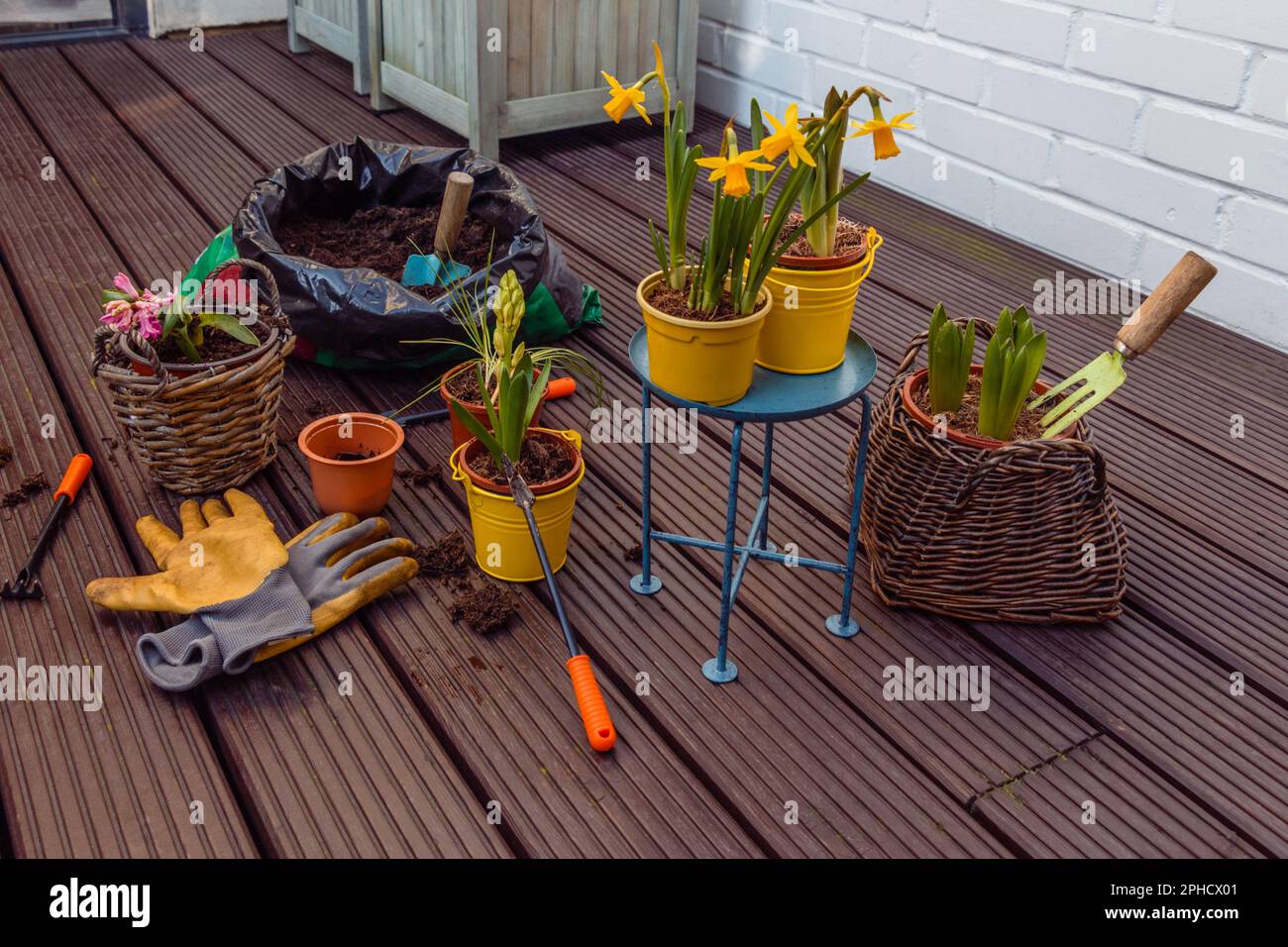 Side view of plants and gardening tools for planting on a terrace Stock ...