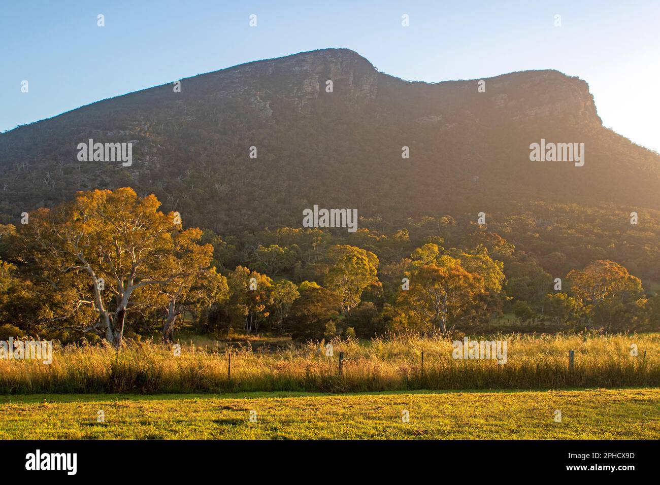 Mt Sturgeon, Grampians (Gariwerd) National Park Stock Photo - Alamy